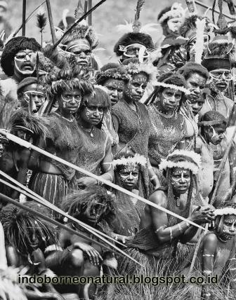 MENGENAL SUKU BANGSA DANI DENGAN UPACARA ADATNYA YANG UNIK | SENI ...