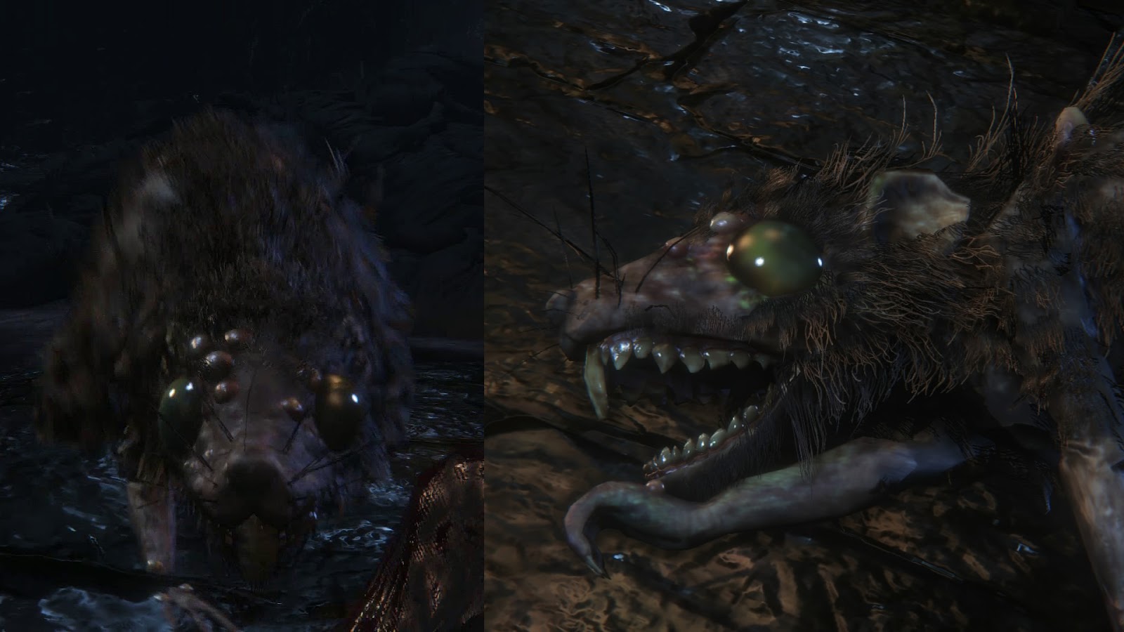 Labyrinth Rat | Bloodborne Wiki