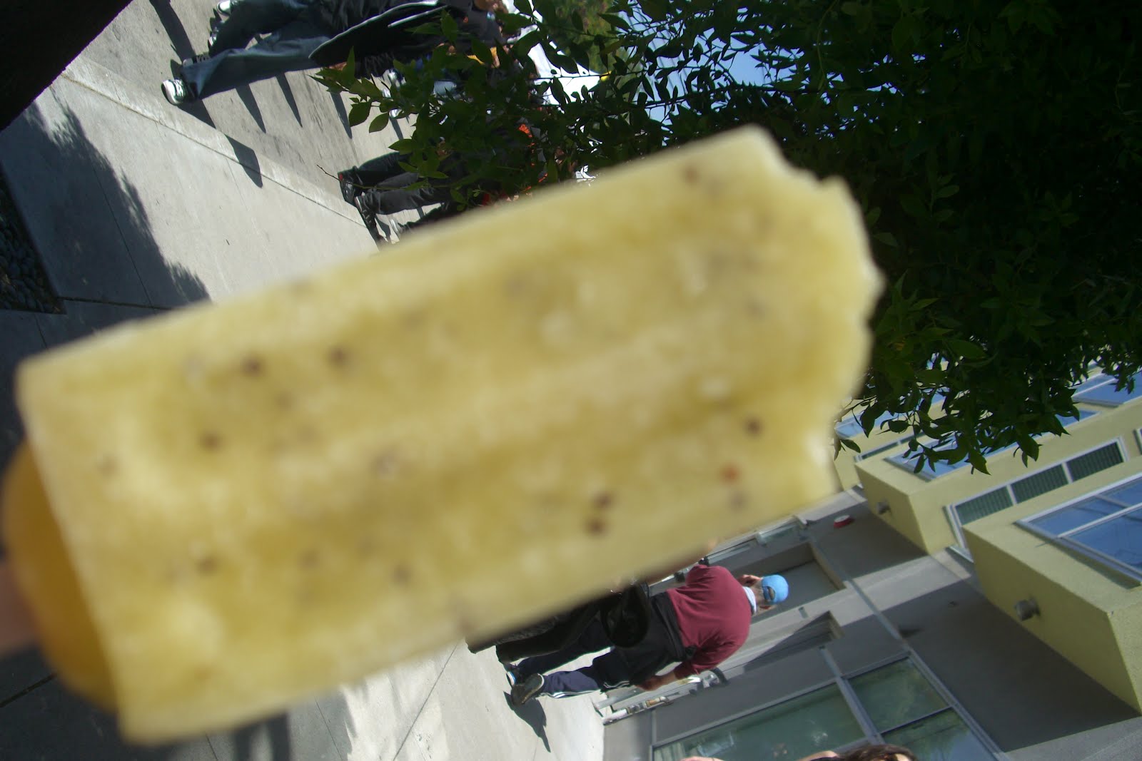 Potato Chips & Beer: Pop Nation Ice Pops (aka Paletas)