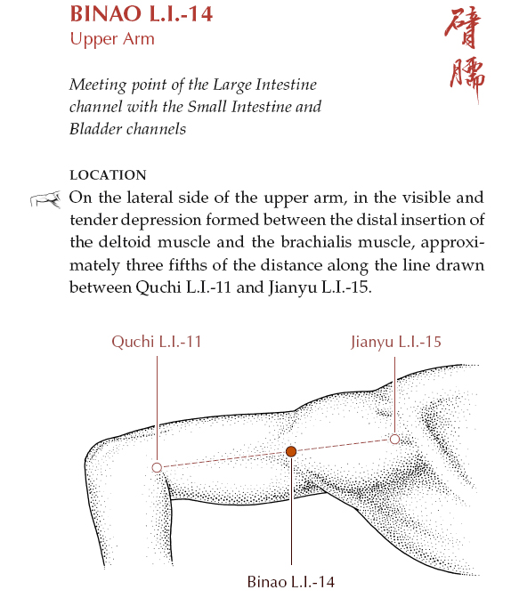Acupuncture Masters: Acupuncture Points Database - Large Intestine channel