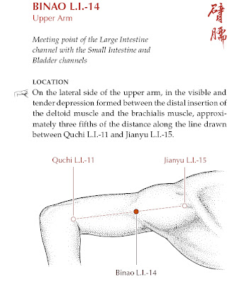 Acupuncture Masters: Acupuncture Points Database - Large Intestine channel