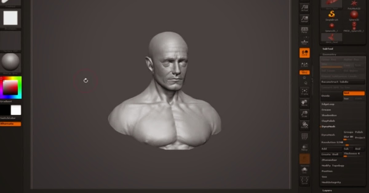 Zbrush Tutorial Beginner