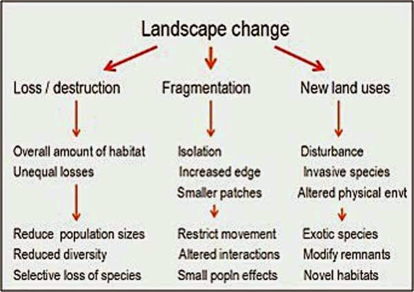 Retired--Now What?: Habitat Fragmentation