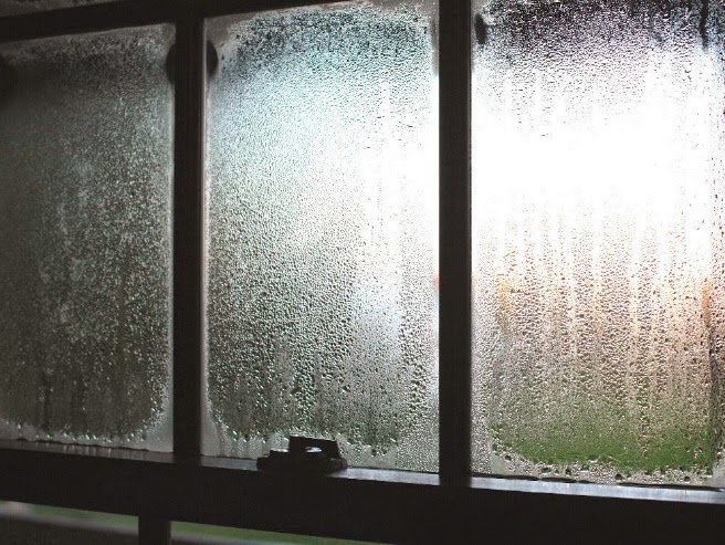 Robinson-Solutions Professional Window Cleaning: What Wet Windows Are ...