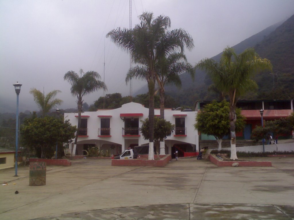 NotiGrillo - Las Noticias Al momento: Historia de Aquila Veracruz