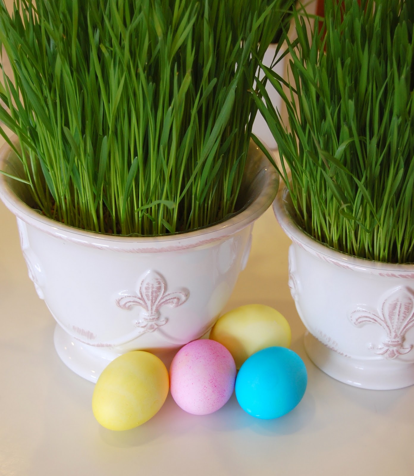 I Heart Salt Lake: Live Grass for Easter