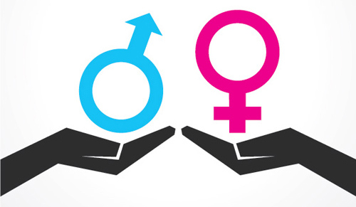 Mowrer "Meta-Story": 5 things you should know about dual gender