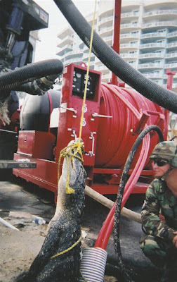 Can of Mystery: Alligators In The Sewers