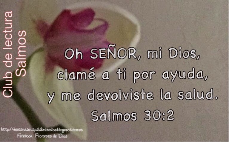 Promesas de Dios: Club de lectura - Salmo 30