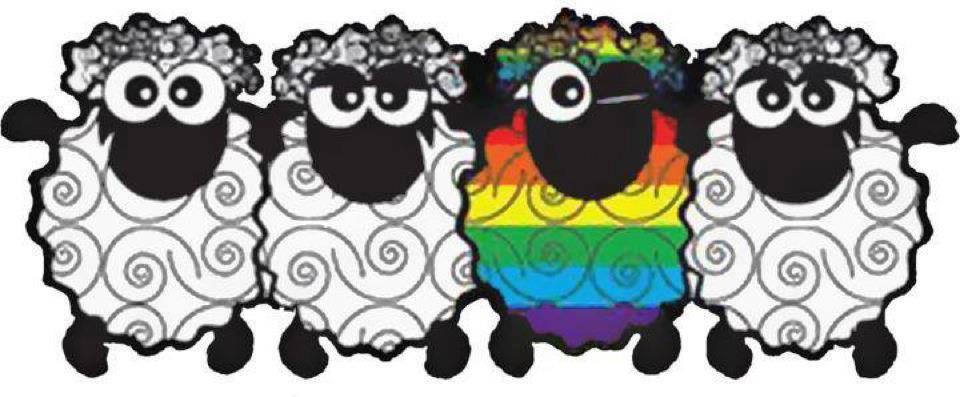 OZ The Other Side Of The Rainbow We Add Colour To A Drab World oz-the-other-side-of-the-rainbow-we-add-colour-to-a-drab-world