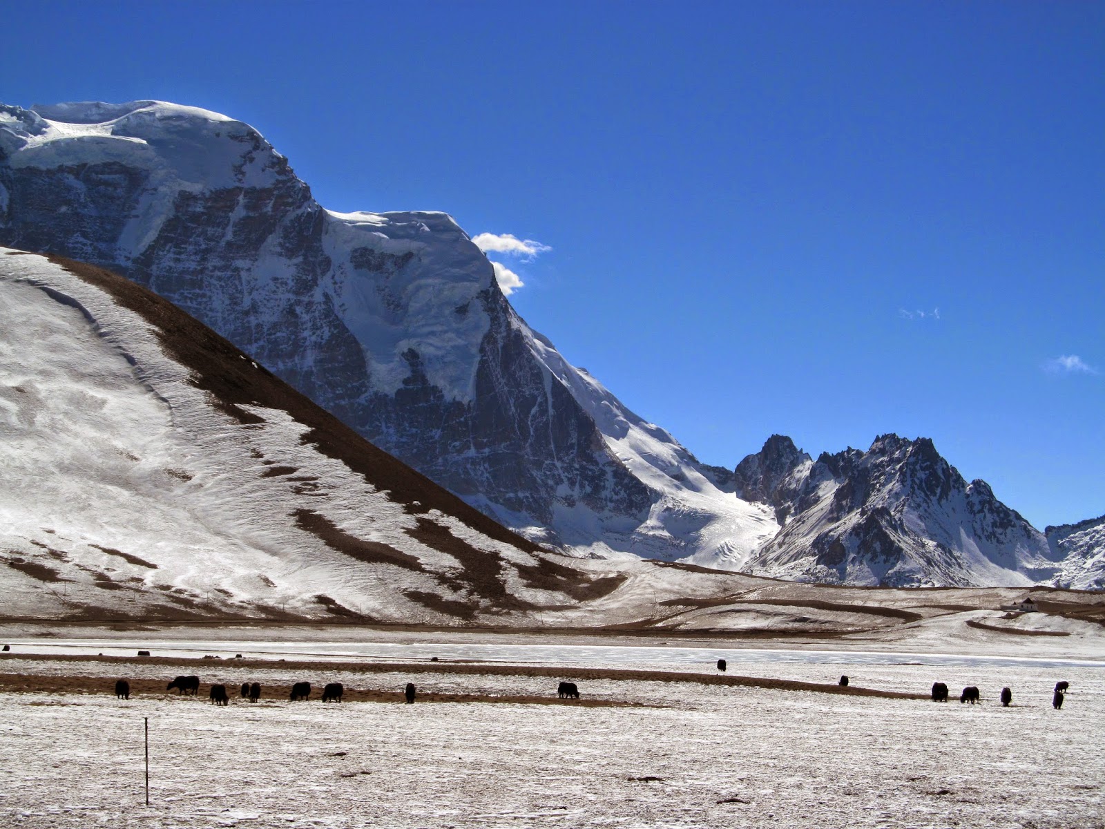 Sikkim Topography Landscape