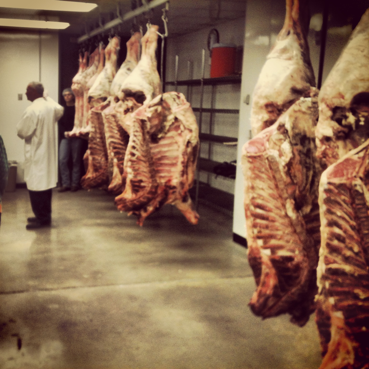 Austin Texas Butcher: Carcass Breakdown at Texas State University. Week ...