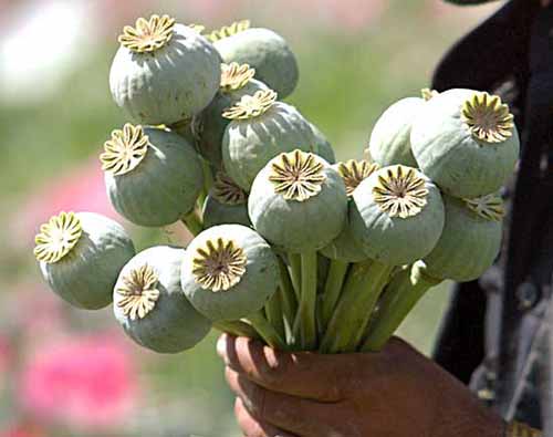 IlcovodiJack: maggio 2016