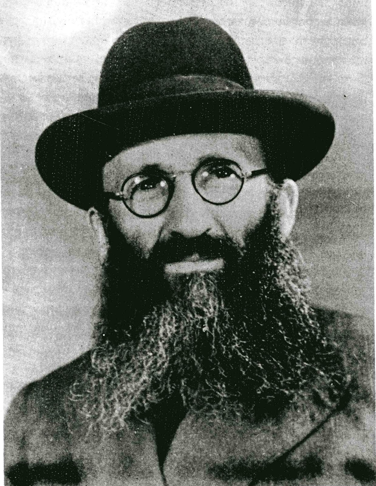 Olive Seedlings - שתילי זיתים: February 2013