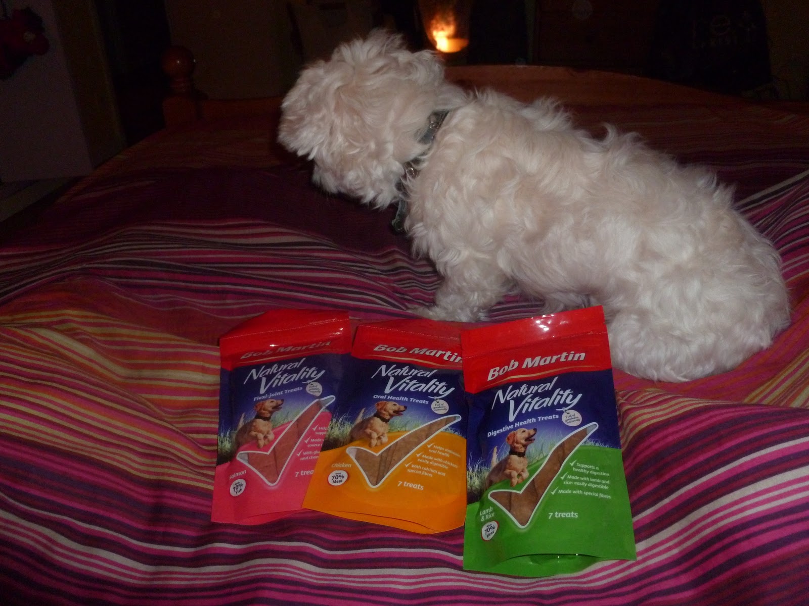 Madhouse Family Reviews: Bob Martin Natural Vitality Dog Treats review