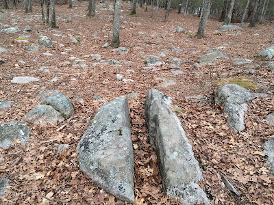 The Geology of Disc Golf: Borderlands State Park, Sharon MA