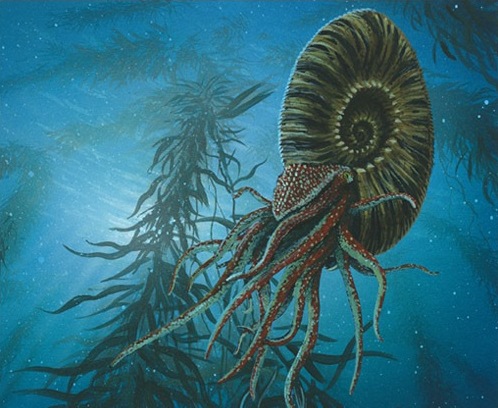 Retales de Gaia: Parapuzosia seppenradensis, el ammonite más grande ...