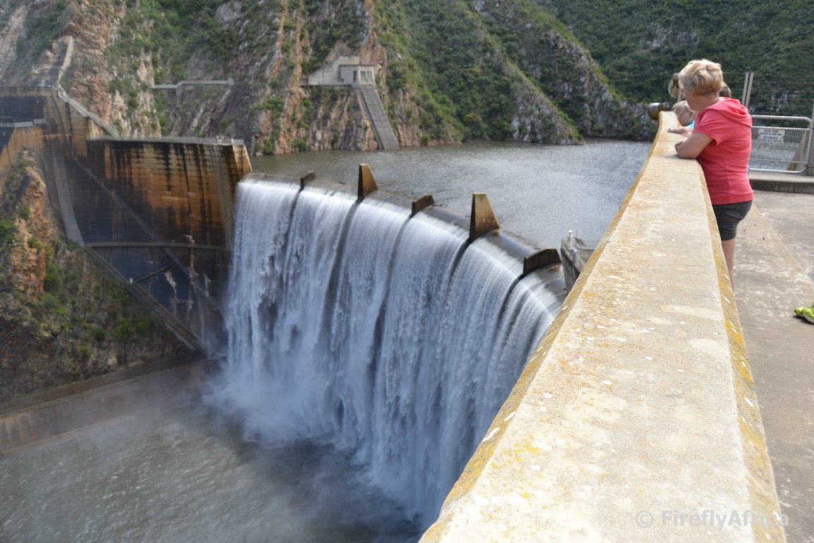 Port Elizabeth Daily Photo: How about visiting the Kouga Dam?