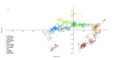 Eurogenes Blog: ANE is the primary cause of west to east genetic ...
