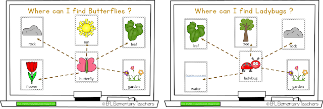 EFL Elementary Teachers: Insects unit for Elementary ESL