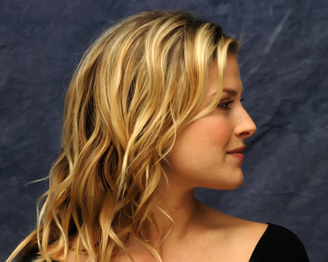 hollywood & Bollywood Stars: Ali Larter Bio,Profile & Pictures 2011