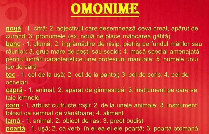 Învață limba română: Omonimele (Relații și categorii semantice)