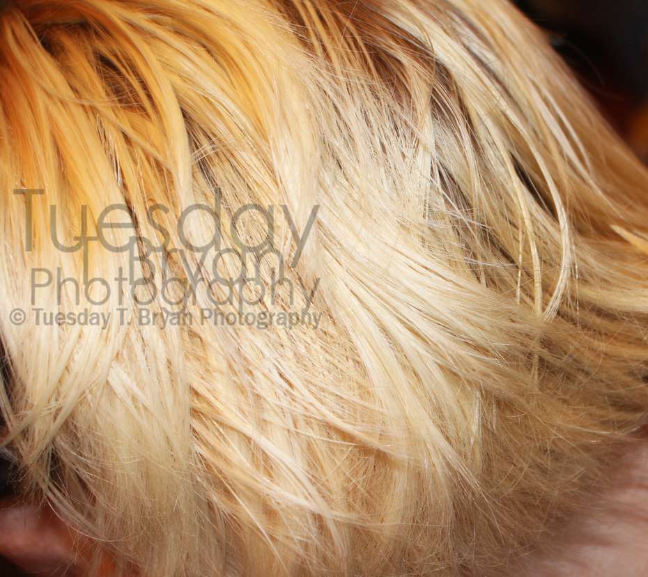 Tuesday T. Bryan: Avon Advance Techniques Daily Shine Quick Touch Leave ...