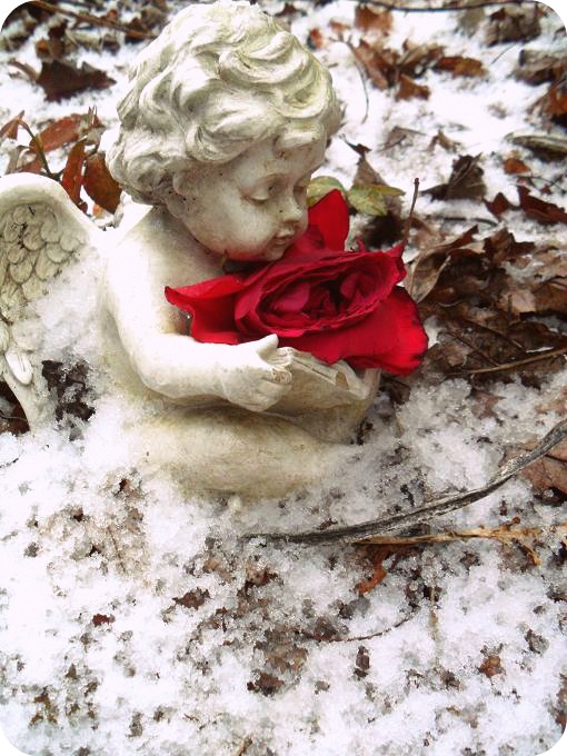 town and prairie: Snow Angel