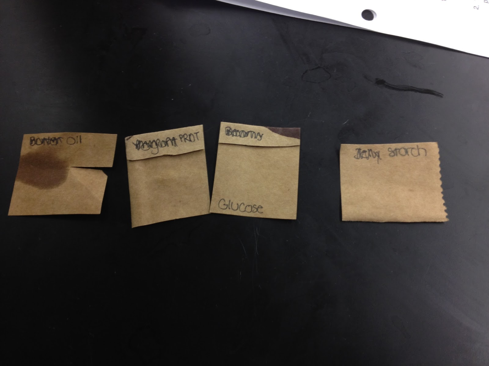 Chris Jung -- Honors Biology: Day 7 -- All Out Attack