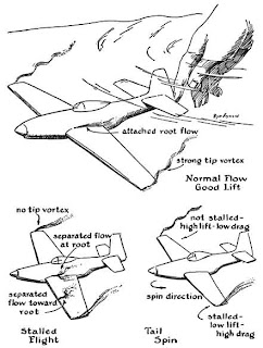 most and popular: Aerodynamics: history, Flight Regimes and Supersonic