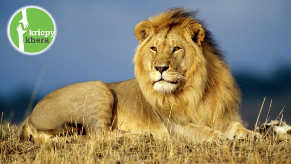 Kricpy Khera | Indian Social Activist And Social Reformer: Barometric ...