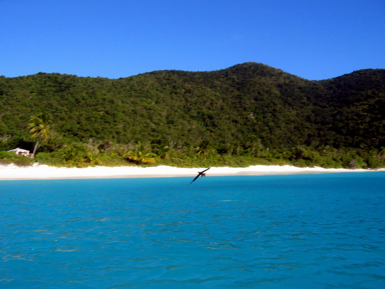 Travelling Place: Guana Island Tour And Travel | Travel Information