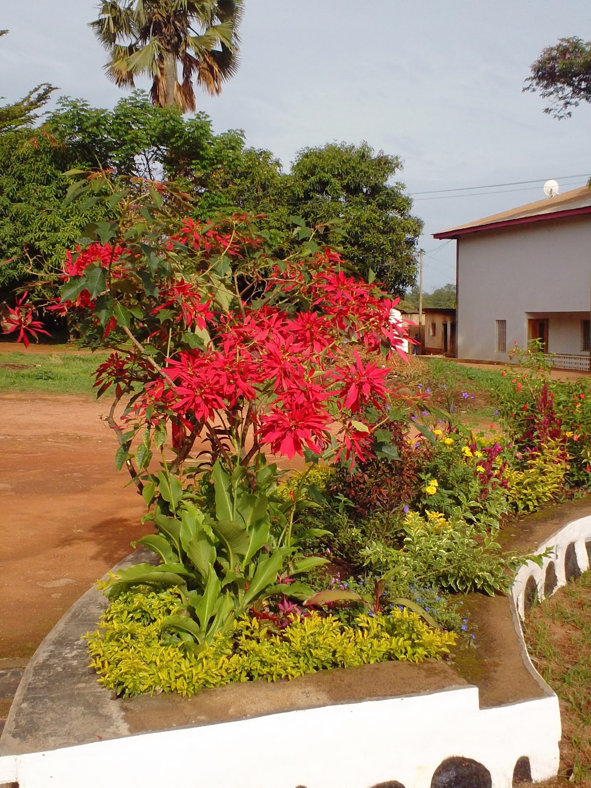 Cameroon Trip 2012