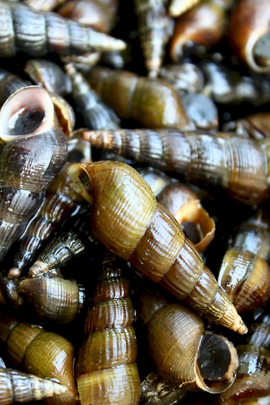 Gift from above (sea level) | dead-hungry