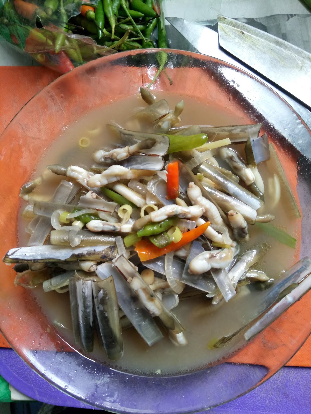 cicak kubing