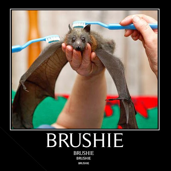 DogPound.com: Brushing