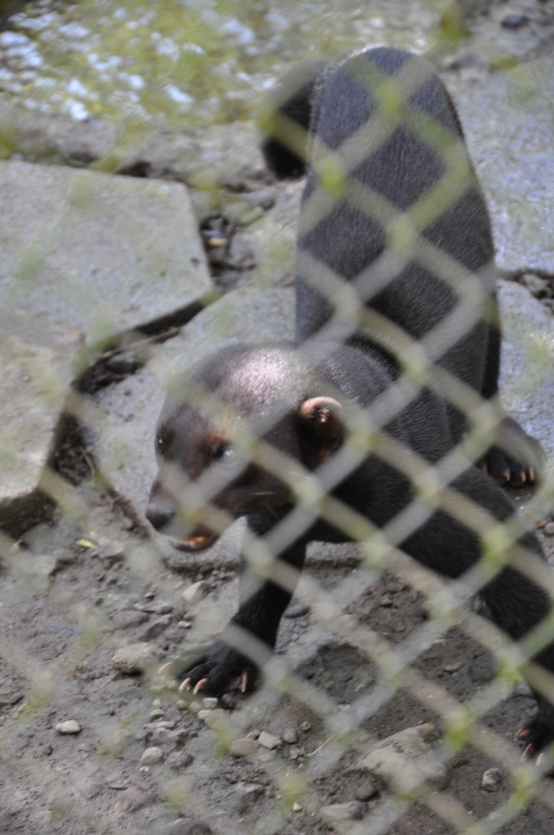 Osa Wildlife Sanctuary