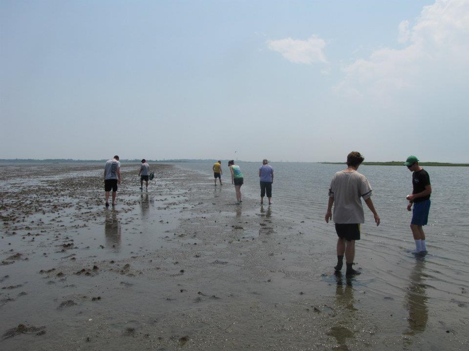 Tidelines: Clamming in the Marsh