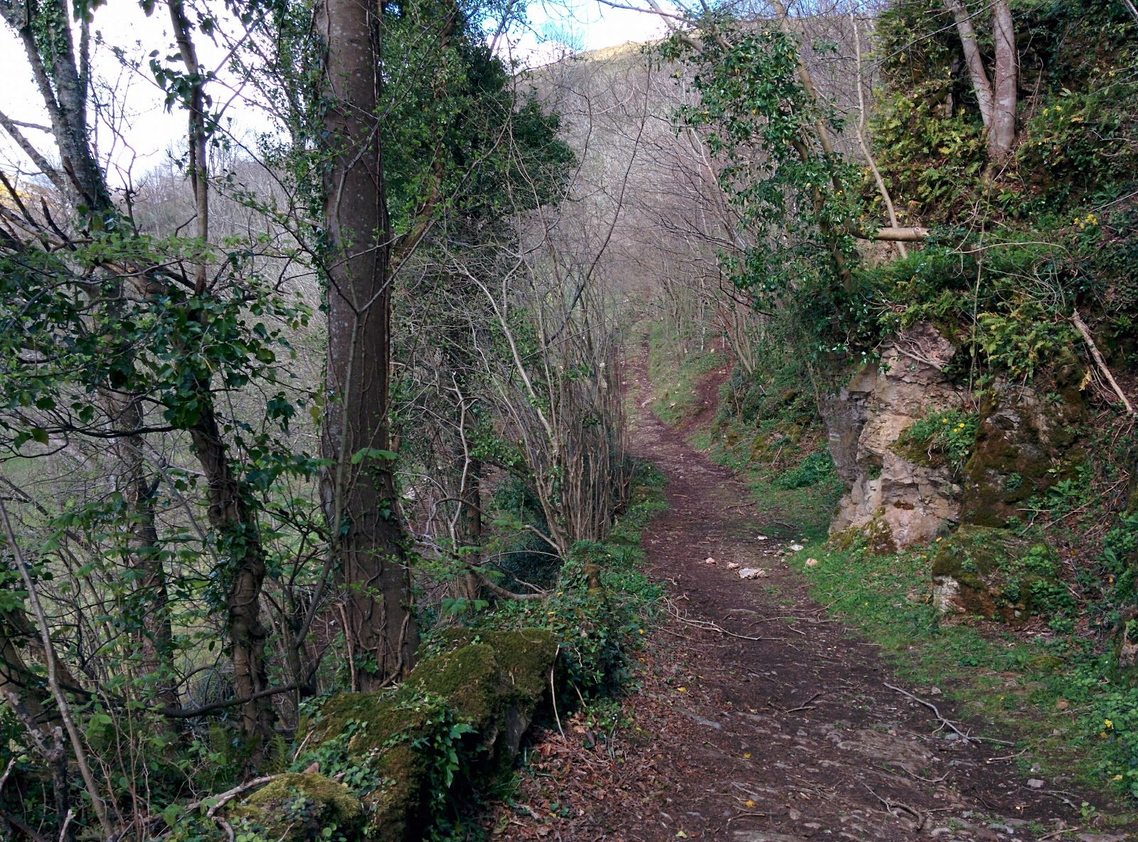 A lo bouzo: PR.AS.-144 Ruta de la Castañal y Pico Cervera [Belmonte]