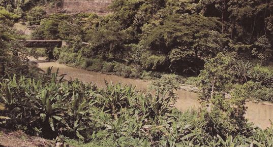 Virutas de saber: Nuestro Río Tuy