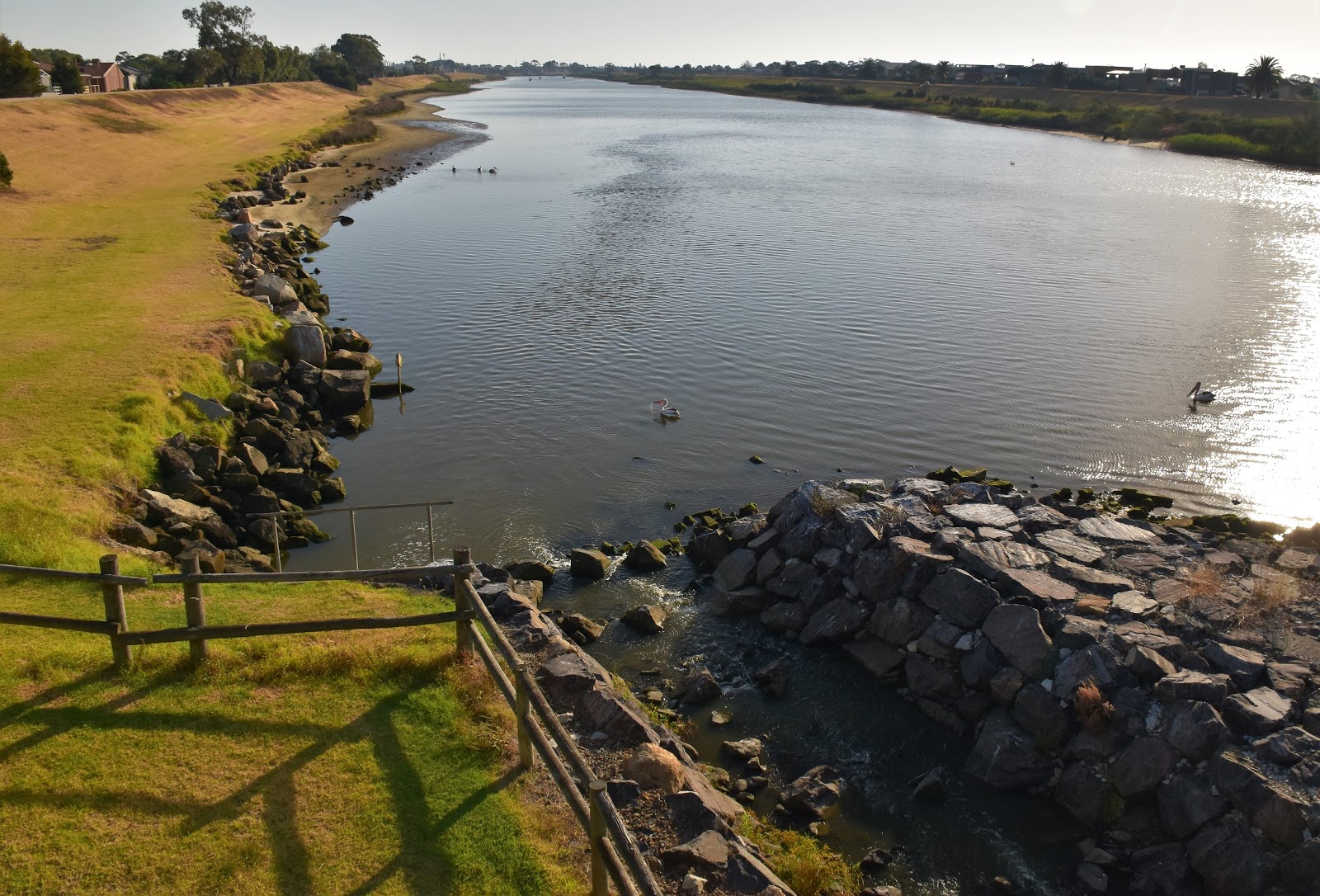 Goin' Feral One Day At A Time: Patterson River - February 2019