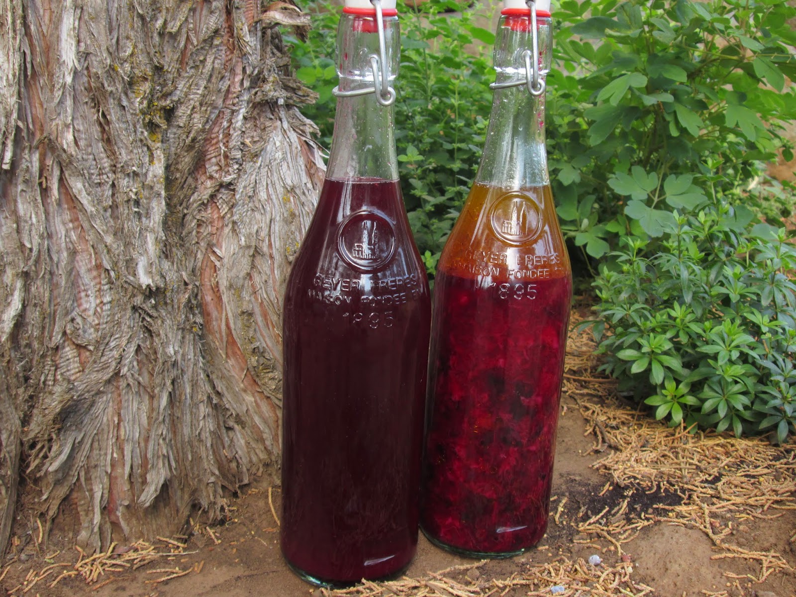 Wild Thyme Creations: Very Berry Vinegar (and vinagrette, too)