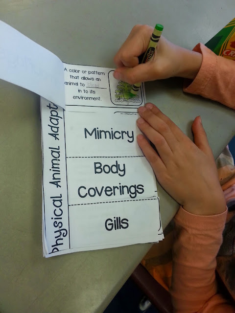 The Third Grade Learning Spot: Marvelous May!