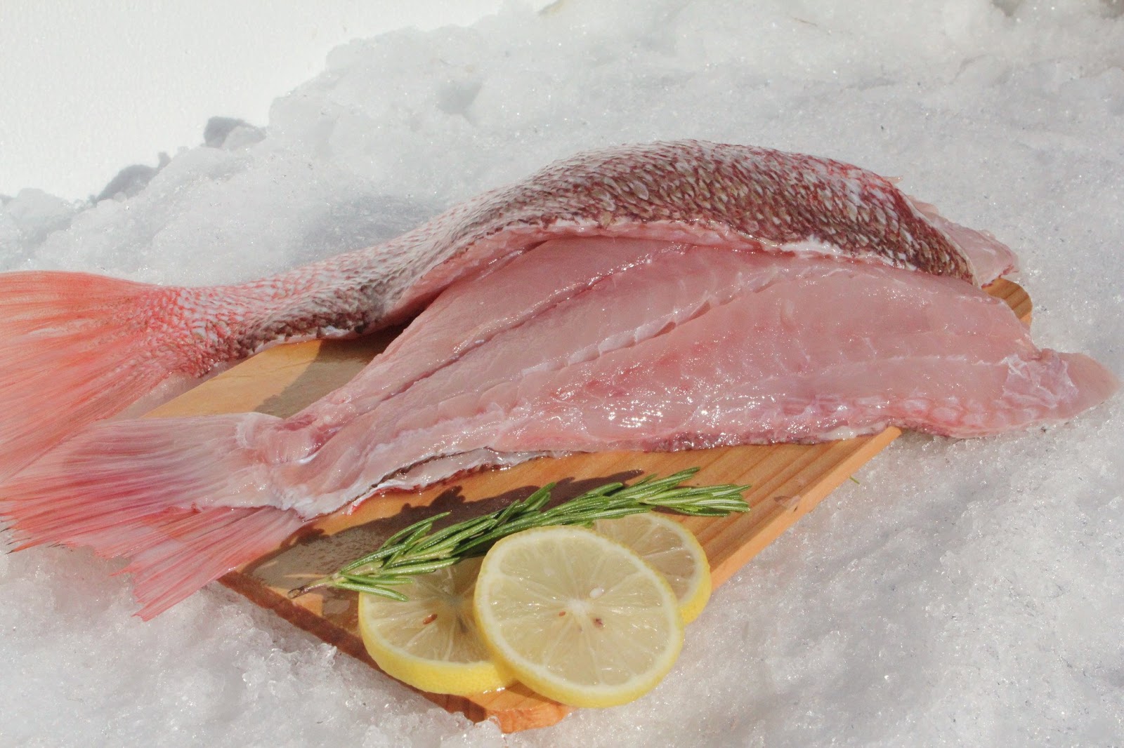 Red Snapper Fish Taste - Red Snapper Fish, Red Snapper Fish Wholesale ...