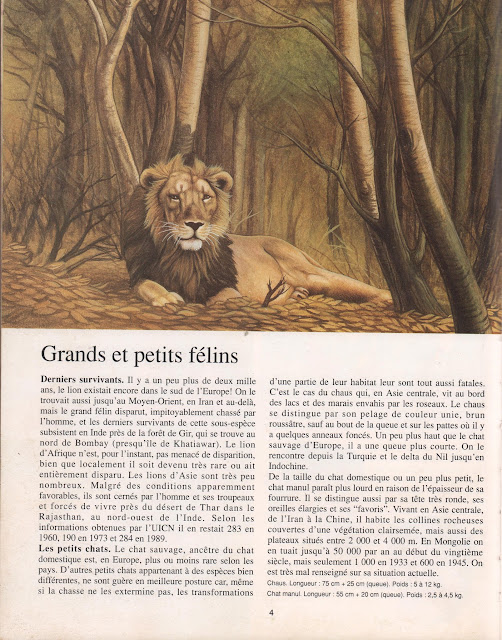 Leçons de choses: Pariselle, Les animaux en voie de disparition (1991)