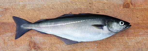 Fresh Life: Alaskan Polllock Chowder