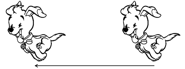 SECUCIENCIAS: TIPOS DE TRAYECTORIA