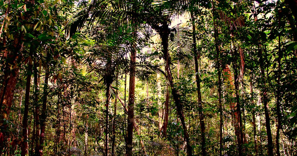 The Traveling Tripod: Roughing it easy at Amazon Jungle Palace