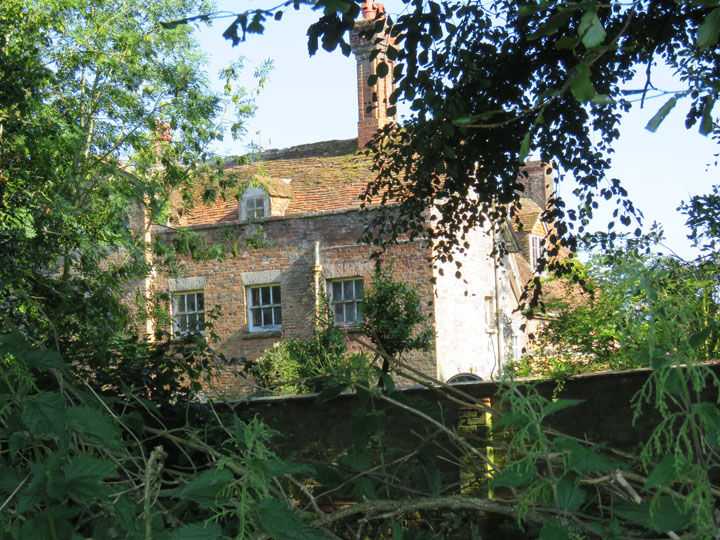 Tales from Tug Harry: The real Wolf Hall?