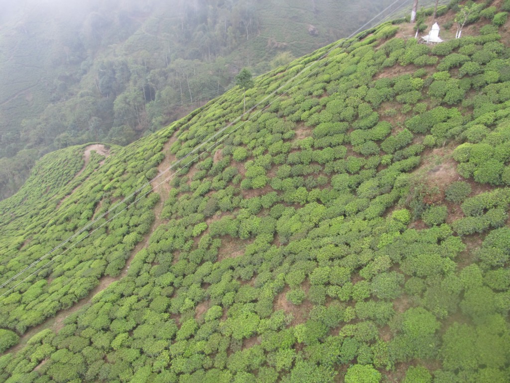 Wallpaper: October 2012